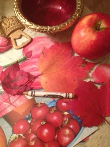 Apples, Apples, Apples — All Things Apples – All Things Good